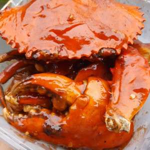 Kepiting jumbo papua - Sinergi Smart Tumbas