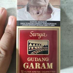 surya 12 - Sinergi Smart Tumbas