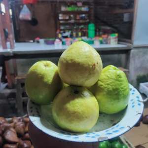 Jambu merah - Sinergi Smart Tumbas