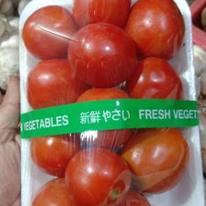 tomat Sayur - Sinergi Smart Tumbas