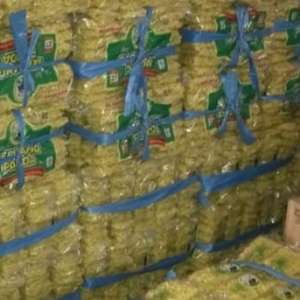 Mie panda 1 iket - Sinergi Smart Tumbas