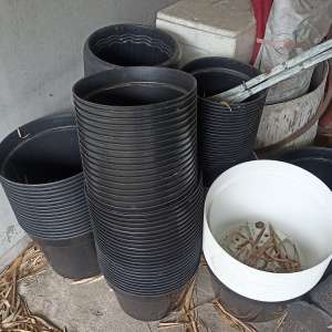 pot jumbo - Sinergi Smart Tumbas