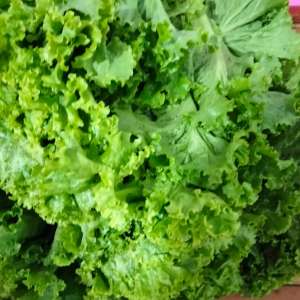 Slada Kriting / Andewi - Sinergi Smart Tumbas